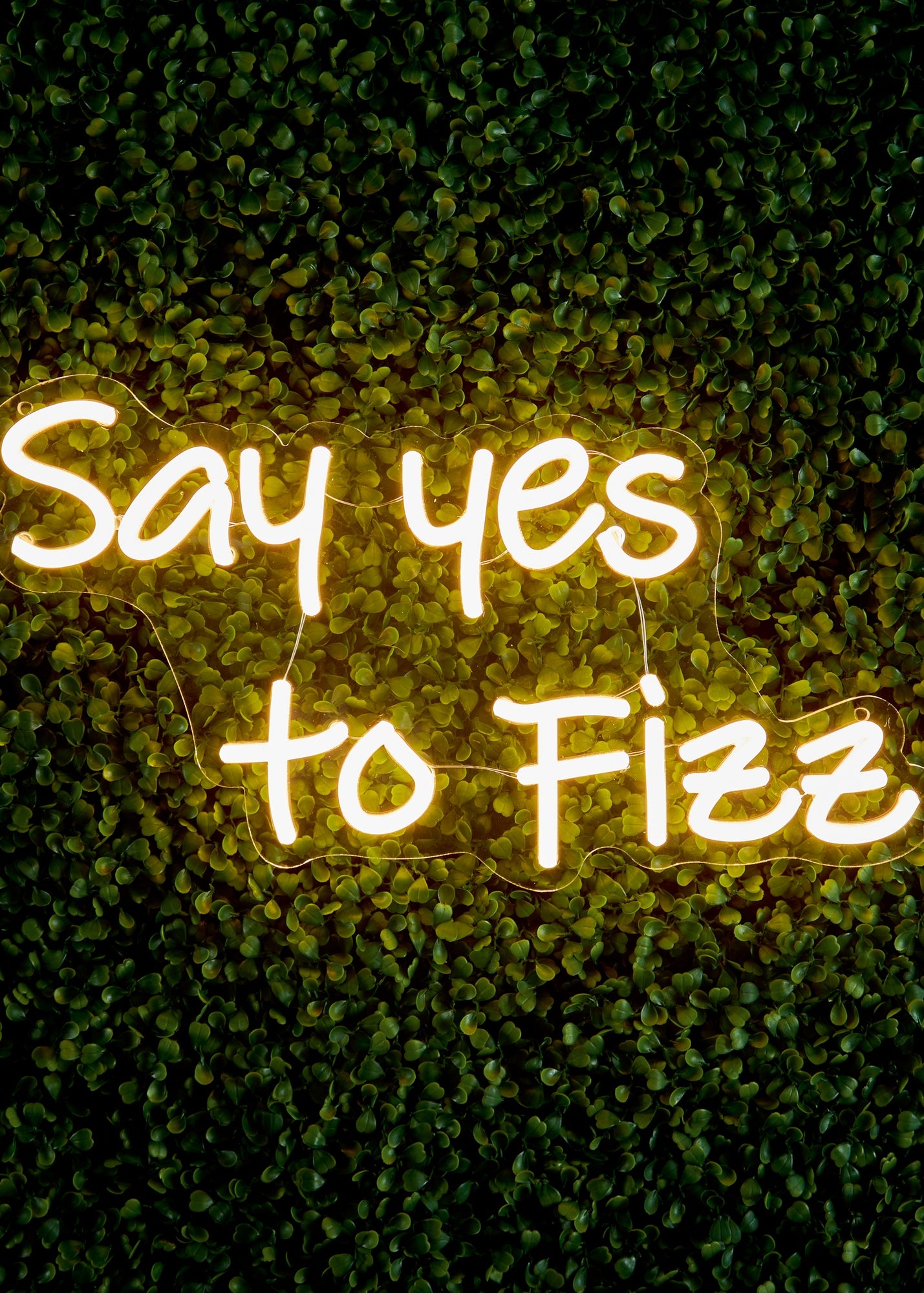 Premier Decorations LED Neon Say Yes to Fizz Wall Sign - One Size | Matalan
