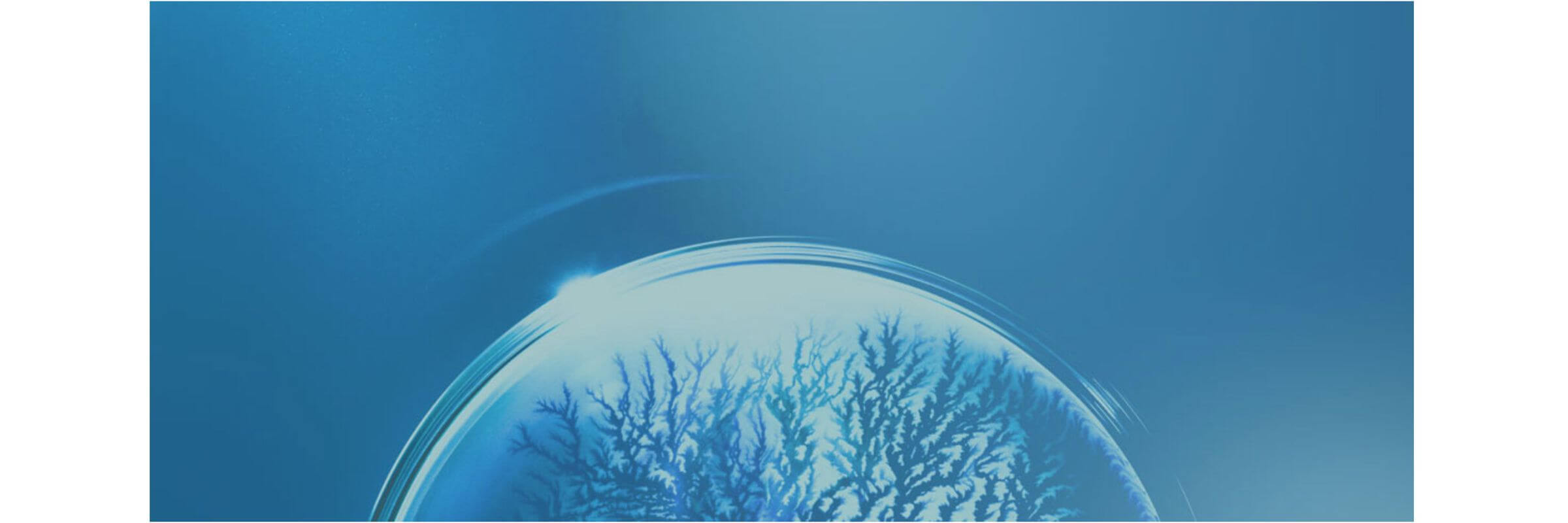 Our Blue Biotech Expertise & Innovation | Biotherm US